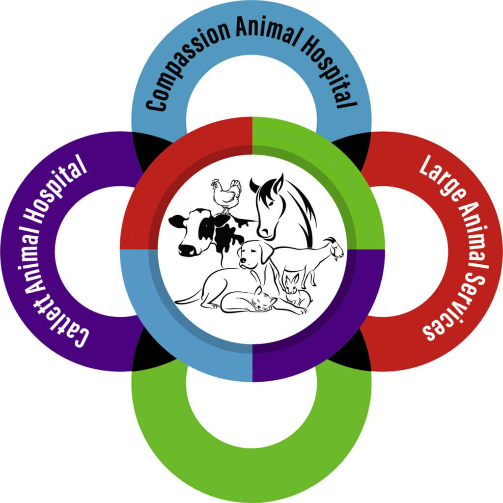 Practices Archive - Lakefield Vet