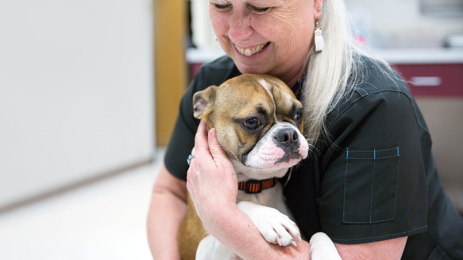 Who We Are | Veterinary Practice Acquisition | Lakefield Veterinary Group