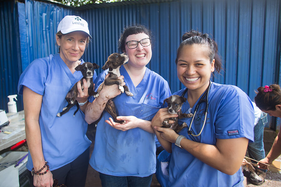 Who We Are | Veterinary Practice Acquisition | Lakefield Veterinary Group