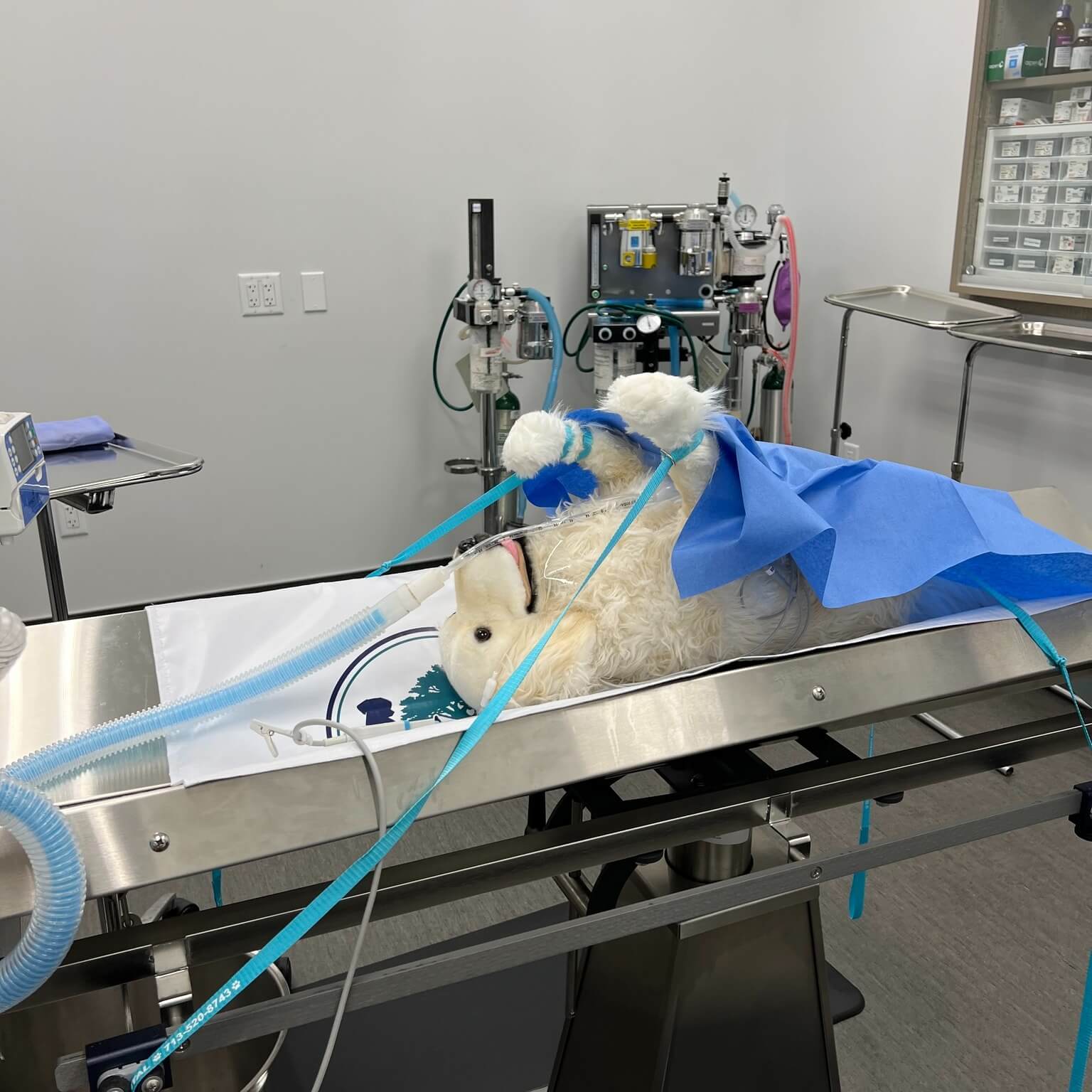 A New Facility for Bissonnet Veterinary Hospital - Lakefield Vet