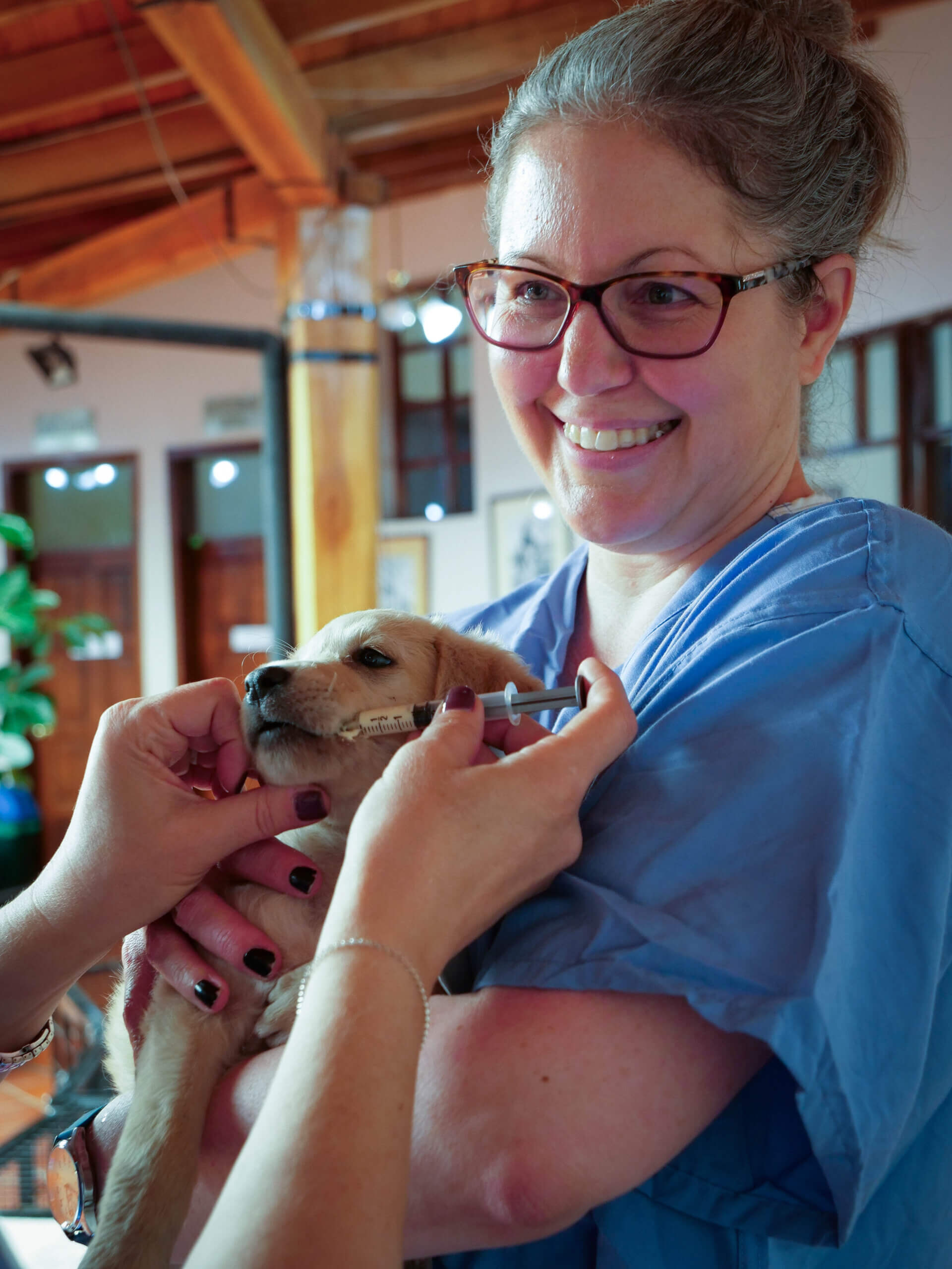 Otavalo, Ecuador World Vets Volunteer Trip - Lakefield Vet